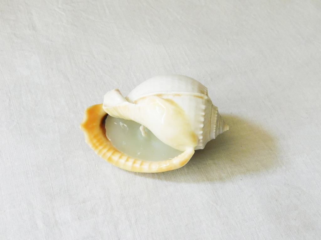 Conch shell candle - Sasha Association for Craft Producers